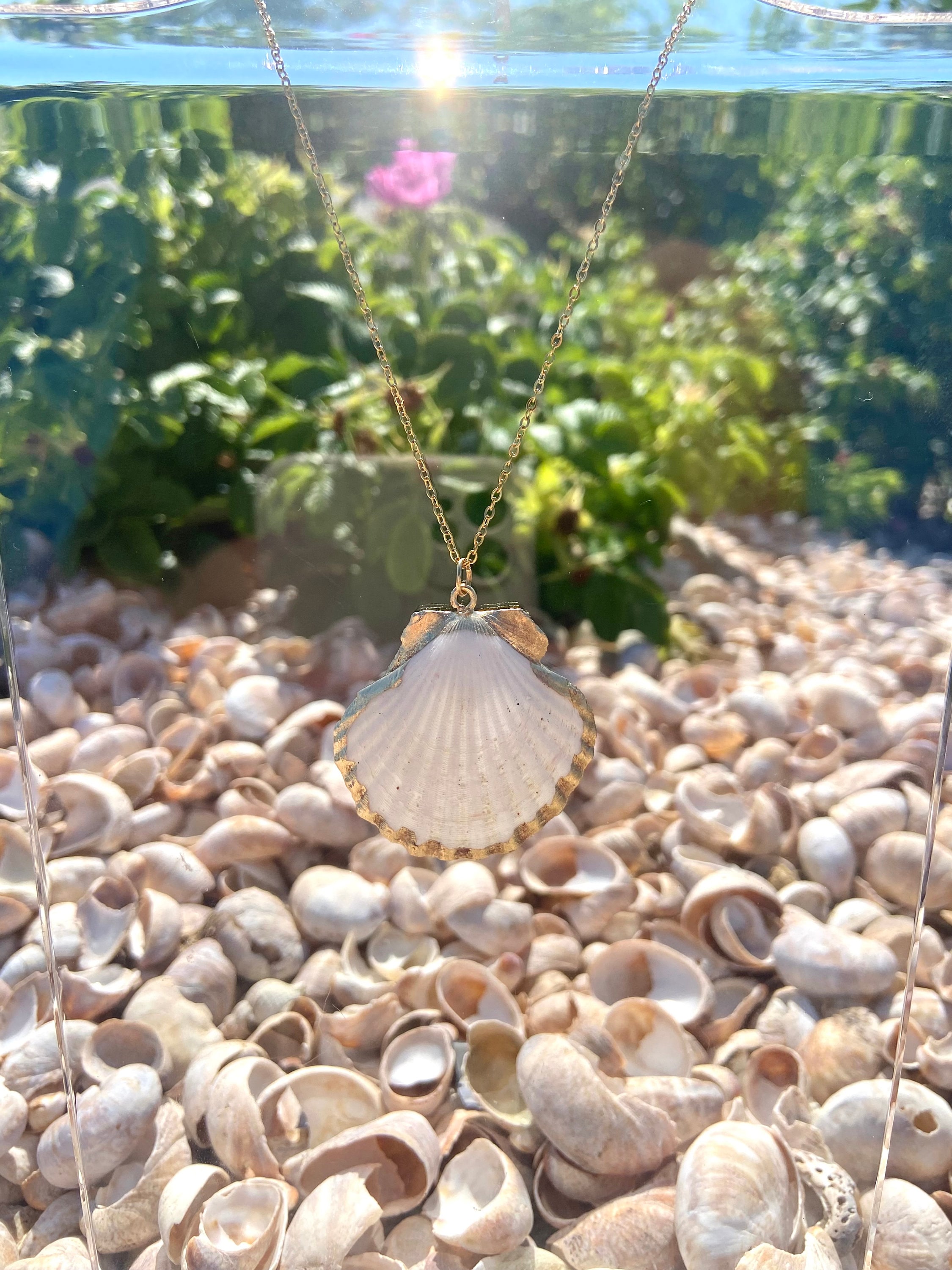Gold Shell Necklace ~ Natural Sea Shell Necklace ~ Boho Beach Jewelry ...