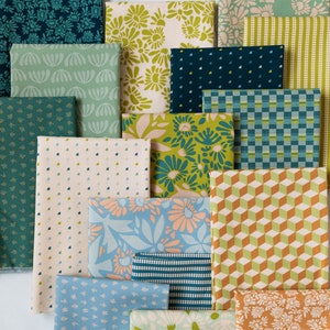 Evolve Bundles Designed by Suzy Quilts for Art Gallery Fabrics 100% Cotton Half Yards and Fat ...