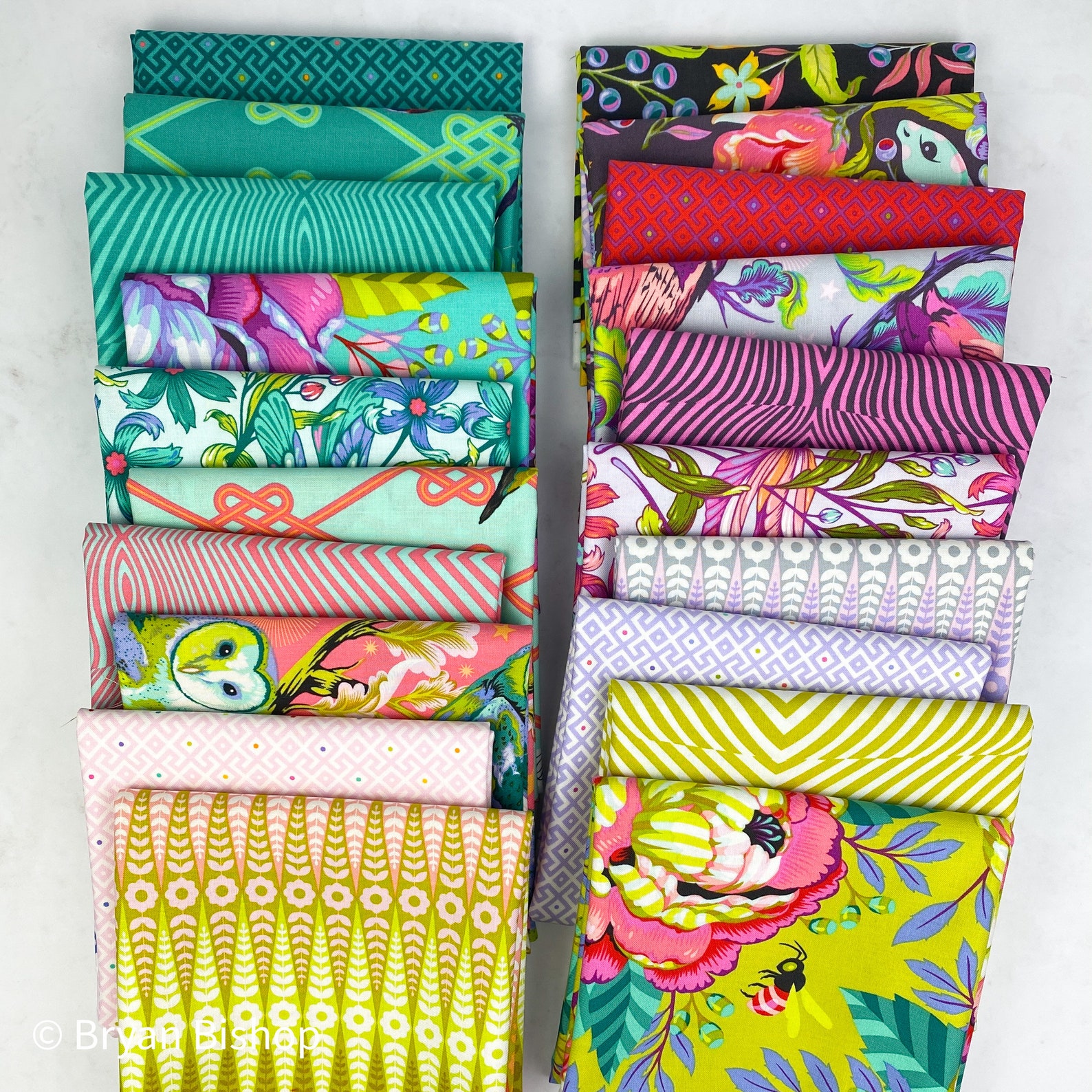 Moon Garden Bundles Designed by Tula Pink for Free Spirit - Etsy