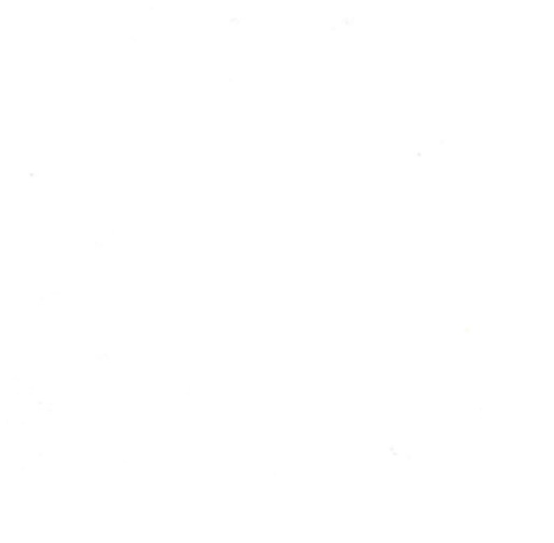 Off White 9900 200 - Moda Bella Solids From Moda - 100% Premium Cotton Fabric - Sold by the Half ...