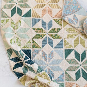 Evolve Bundles Designed by Suzy Quilts for Art Gallery Fabrics 100% Cotton Half Yards and Fat ...