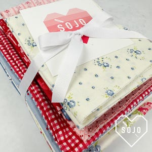 Abigail Quilt Kit - Pattern by Splendid Speck - Made With Hollyhocks ...