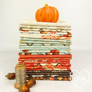 Shades of Autumn Bundles Designed by My Mind's Eye for Riley Blake ...
