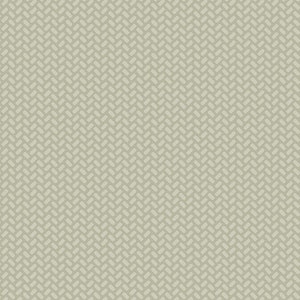 Sweet Ride - Zoom Mint A-444-G - Laundry Basket Quilts -edyta Sitar for ...