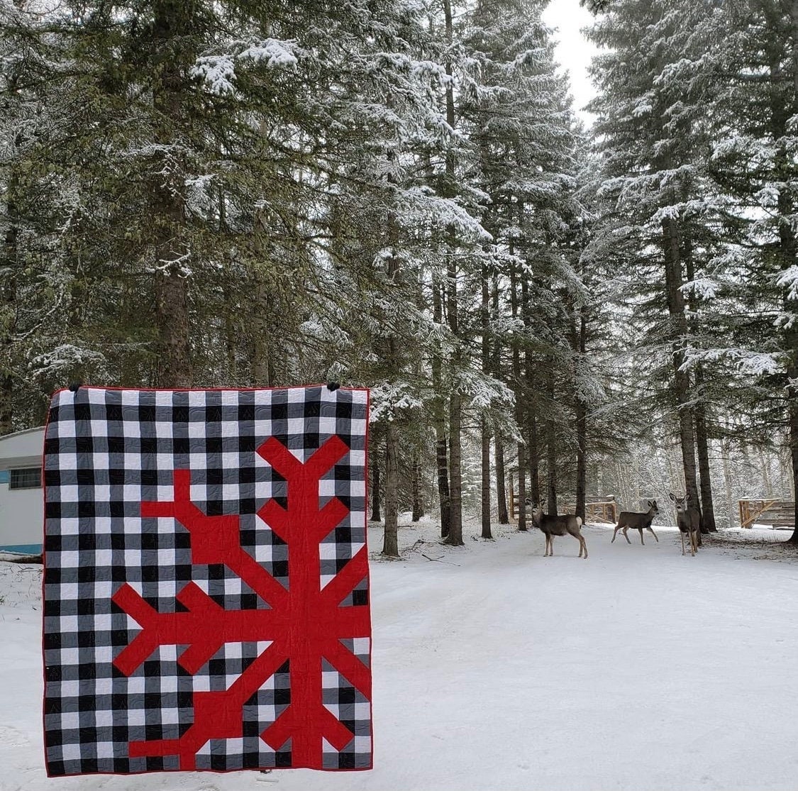Snowflake Quilt Kit Buffalo Plaid Version in Grey Black - Etsy