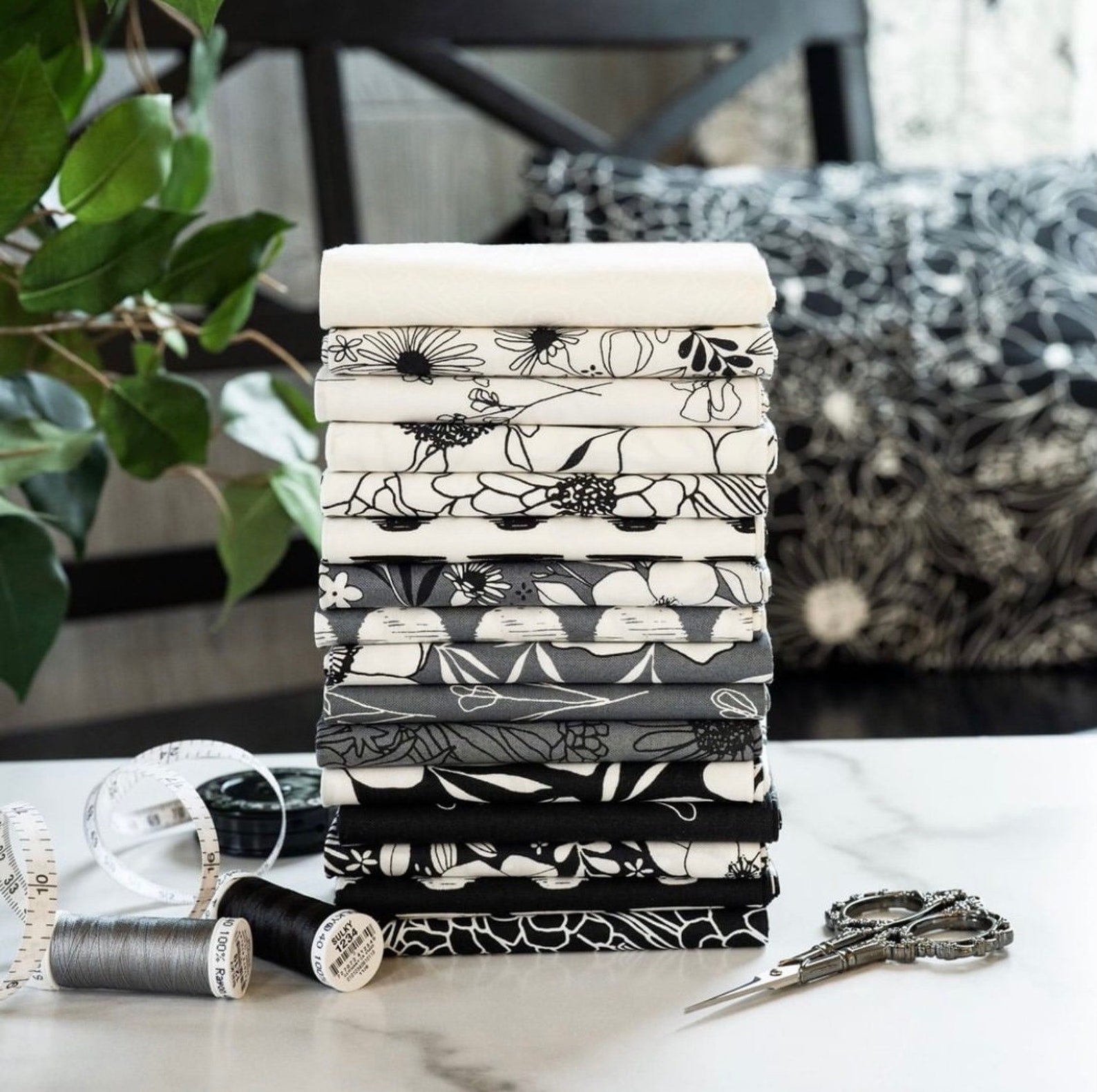 Illustrations Phases Graphite 11504 14 by Alli K Designs - Etsy