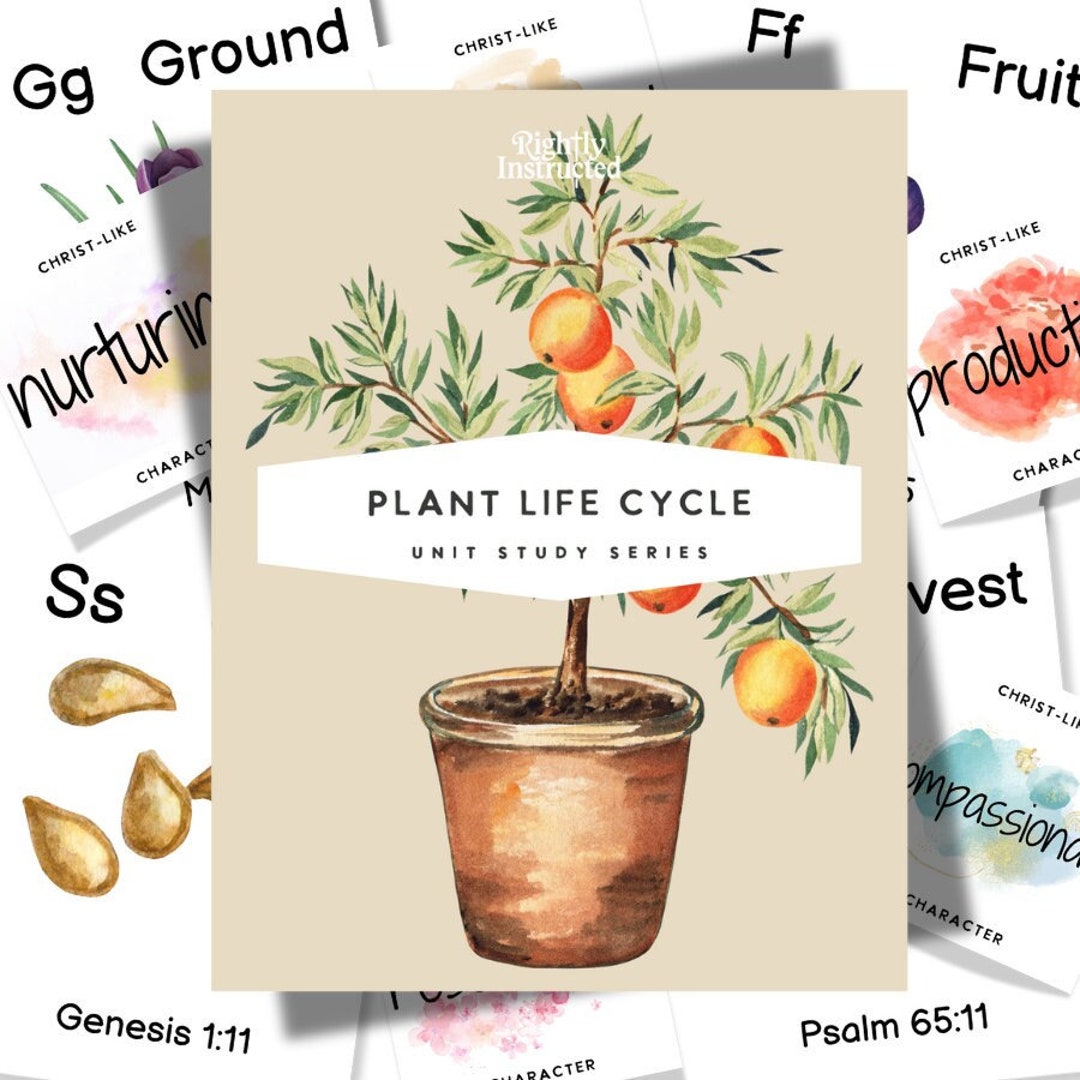 Plant Life Cycle Unit Study Bundle - Etsy UK
