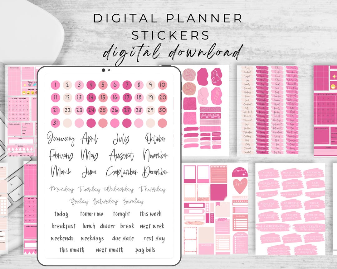 Digital Stickers, Everyday Planner Stickers, Edit on Canva App Everyday ...