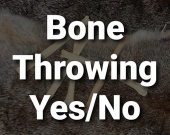 Mini Travel Bone Throwing Set Yes or No / Crystals / Animal Bones ...