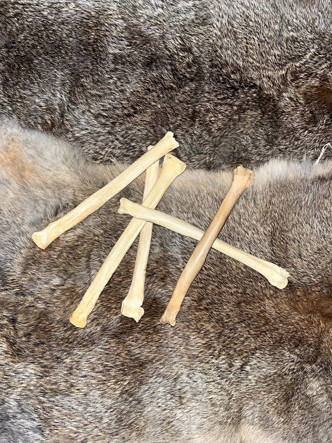 Bone Throwing Divination - Yes or No Questions Only (osteomancy) - Etsy