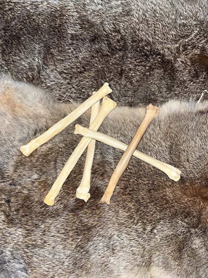 Bone Throwing Divination - Yes or No Questions Only (osteomancy) - Etsy