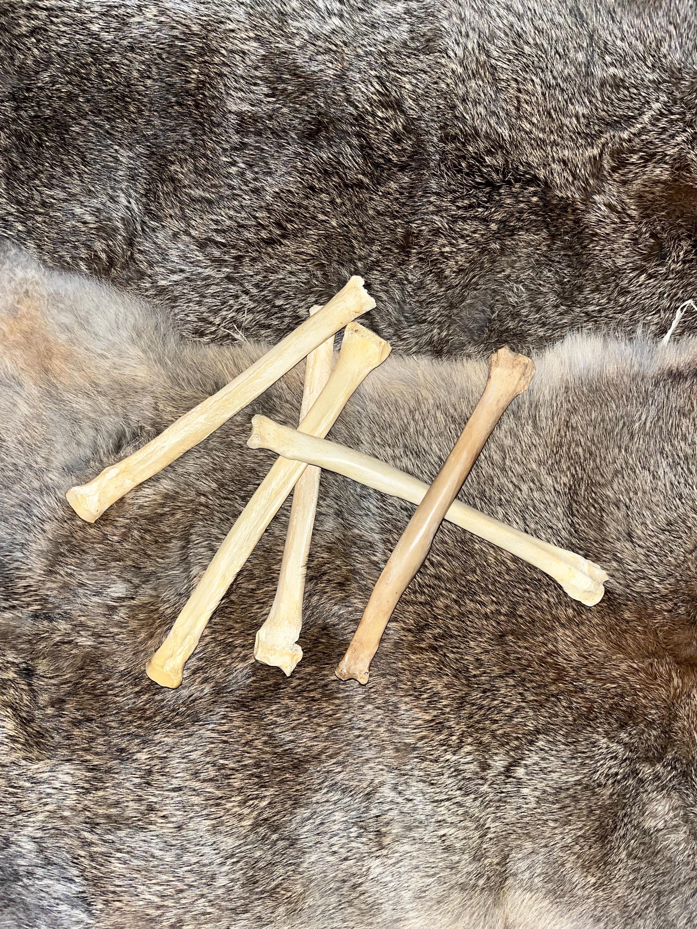 Bone Throwing Divination - Yes or No Questions Only (osteomancy) - Etsy