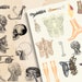 170 + Bones Digital Stickers, Human Body Stickers, Medical Stickers ...