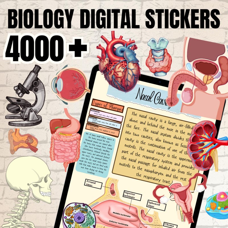 Sticker Pack - Etsy