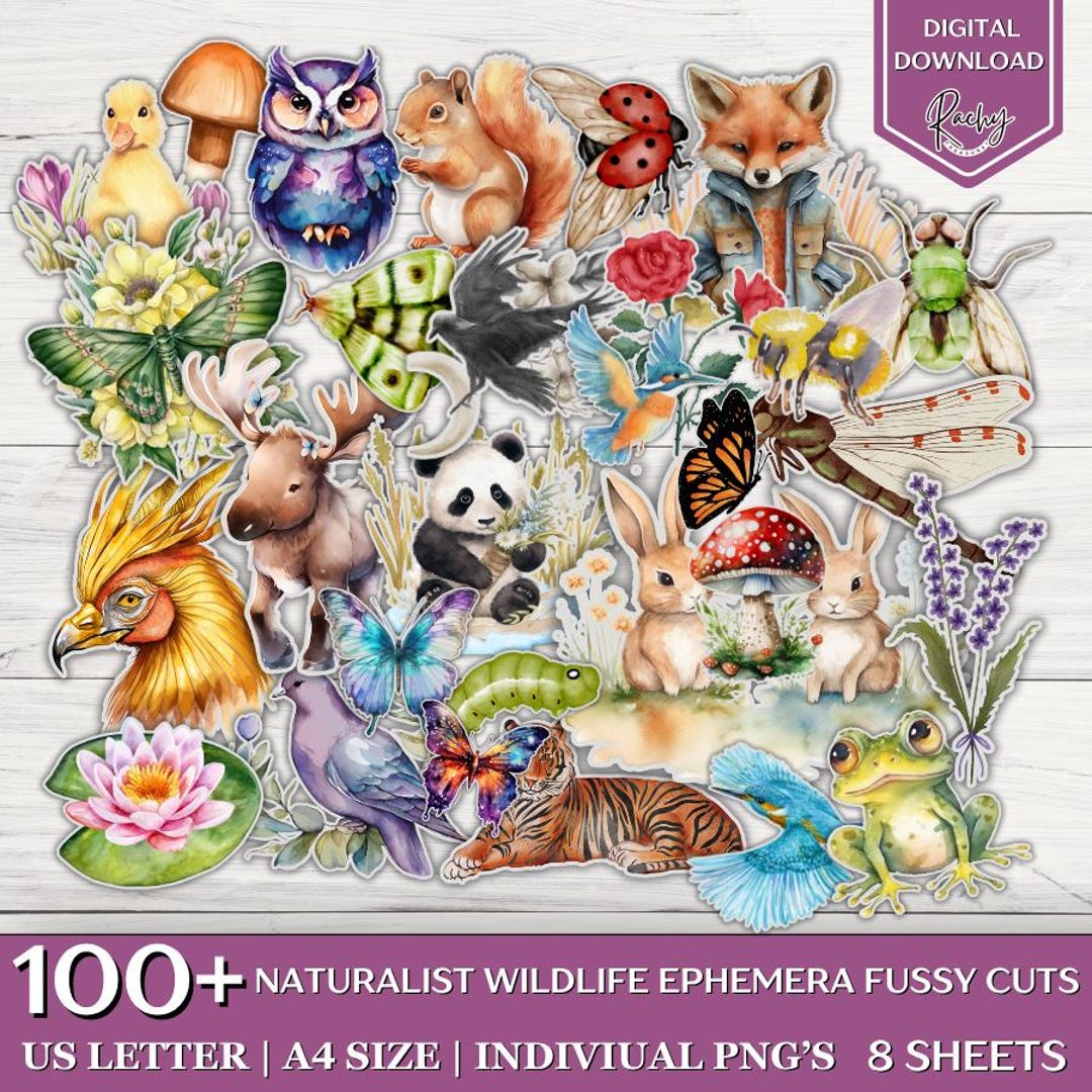 100 + Naturalist Wildlife Fussy Cuts, Animals Fussy Cuts Bundle ...