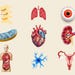 3200 + Biology Digital Stickers, Pre-cropped Human Body Stickers ...