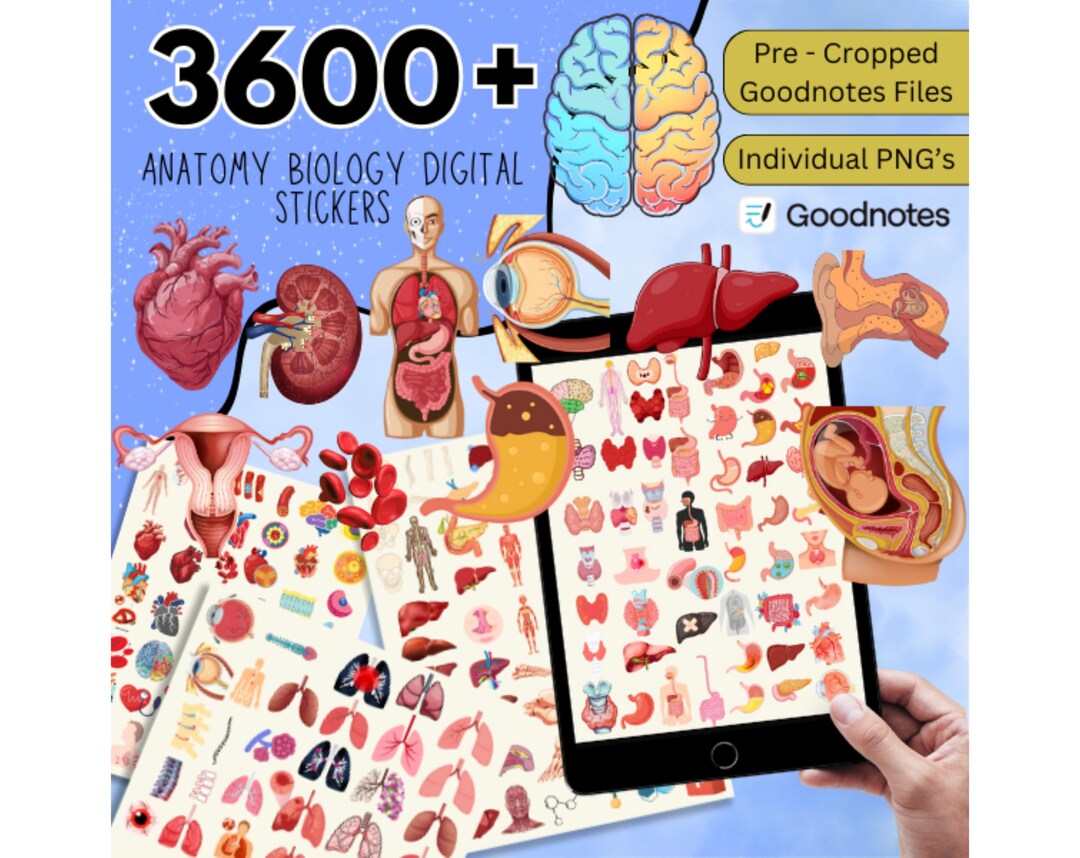 3600+ Human Anatomy Stickers, Pre-cropped Human Body Stickers, Biology ...