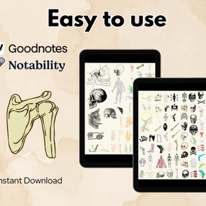 170 + Bones Digital Stickers, Human Body Stickers, Medical Stickers ...