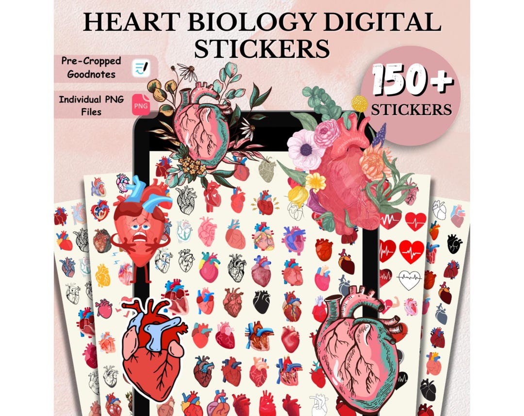 150 + Heart Digital Stickers, Pre-cropped Human Body Stickers, Biology ...