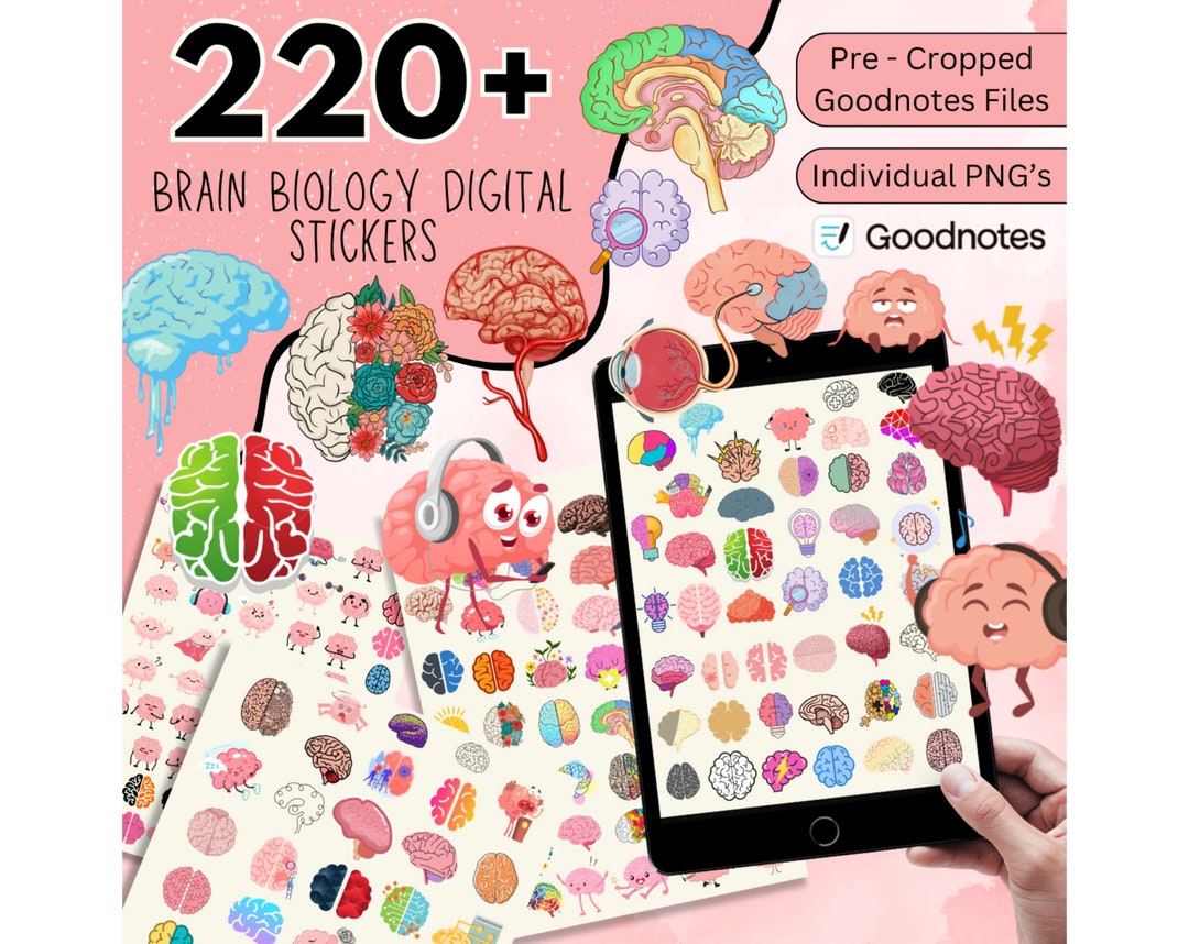 220+ Biology Brain Stickers, Medical Stickers, Goodnotes Stickers ...