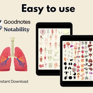 4000 + Biology Digital Stickers, Pre-cropped Human Body Stickers ...