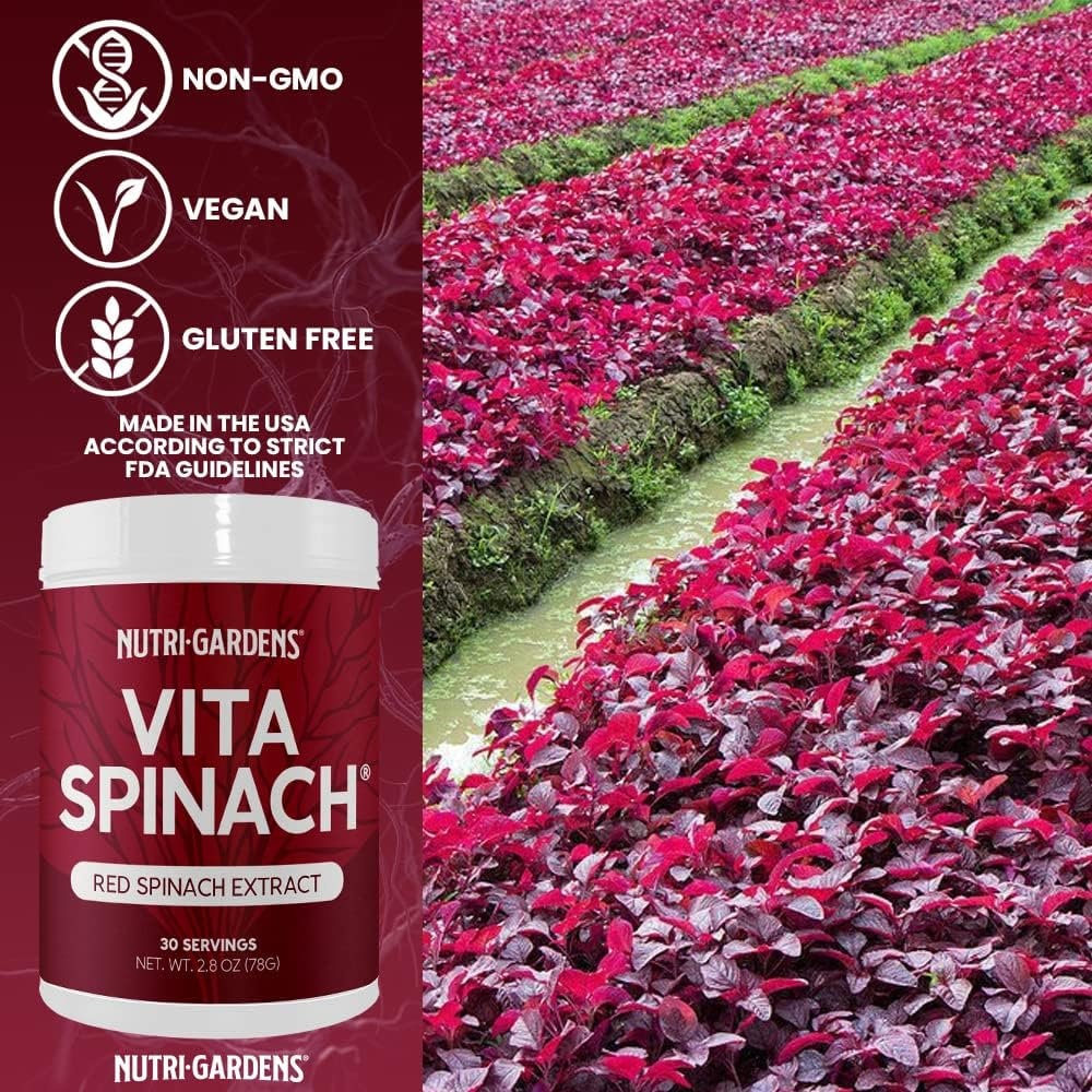 Vita Spinach Powder Red Spinach Extract Nitric Oxide Booster Superfoods ...