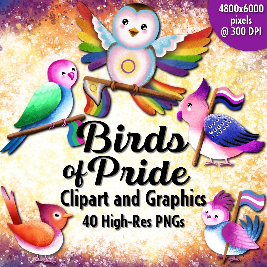 PNG Pride Bundle: Birds of Pride Downloadable Art; High-resolution Gay ...