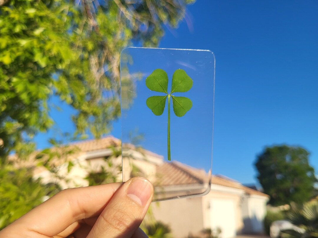 Real Four Leaf Clover Card, Bookmark, Lucky Charm, 4 Leaf Clover, Lucky ...