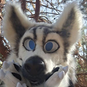 White Gray Husky Fursuit Dog Mask | Realistic Animal Cosplay Head ...