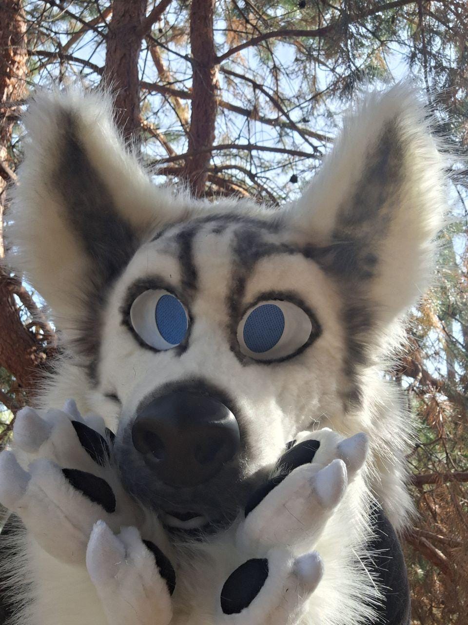 White Gray Husky Fursuit Dog Mask | Realistic Animal Cosplay Head ...
