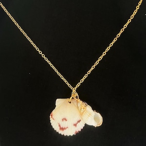 REAL SHELL Dainty Pendant Necklace! Wear the Beauty of the Natural ...