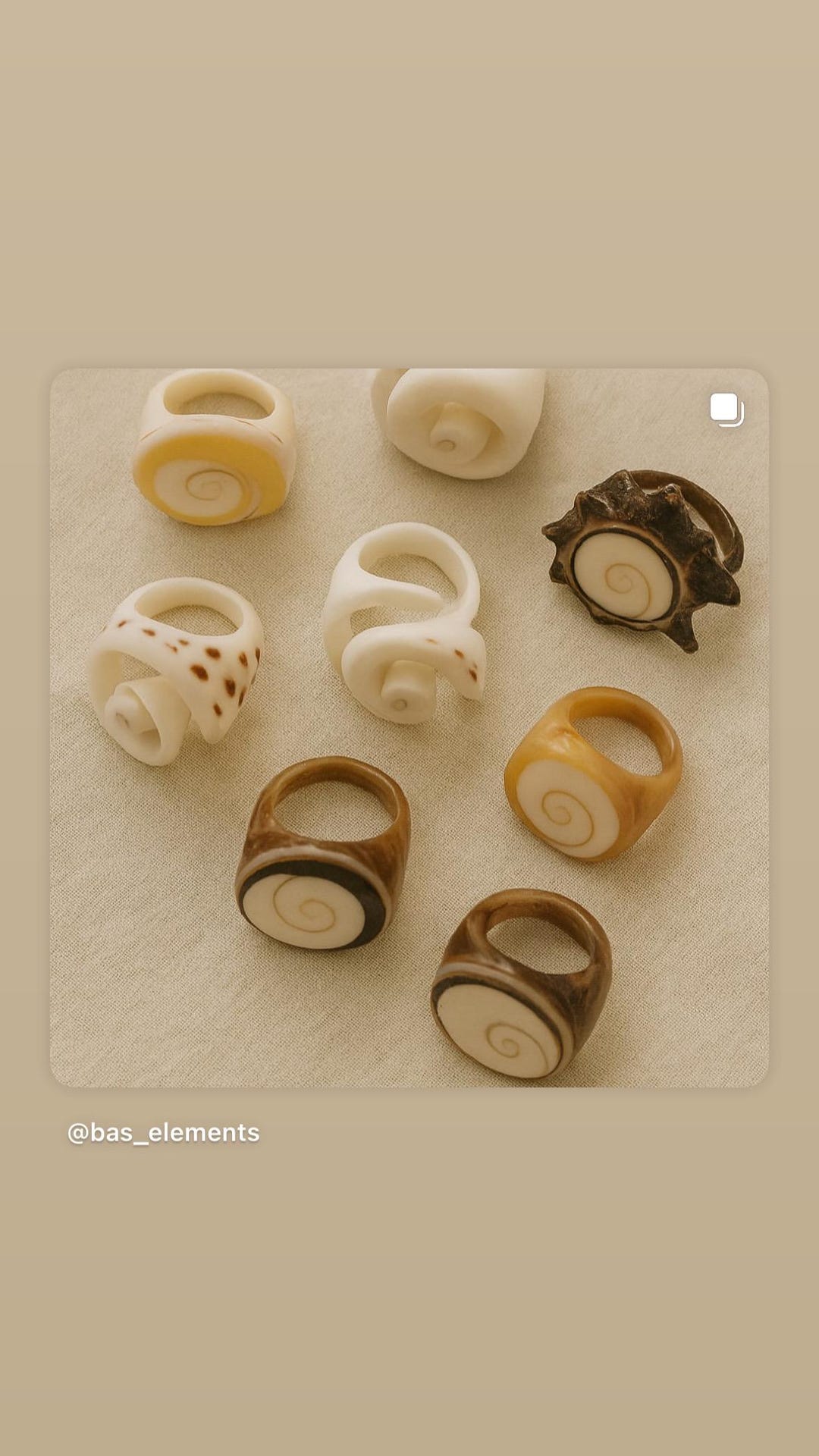 One-of-a-kind Carved Shell Rings | Natural Spiral Sea Shell Jewelry ...