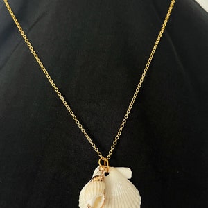 REAL SHELL Dainty Pendant Necklace! Wear the Beauty of the Natural ...
