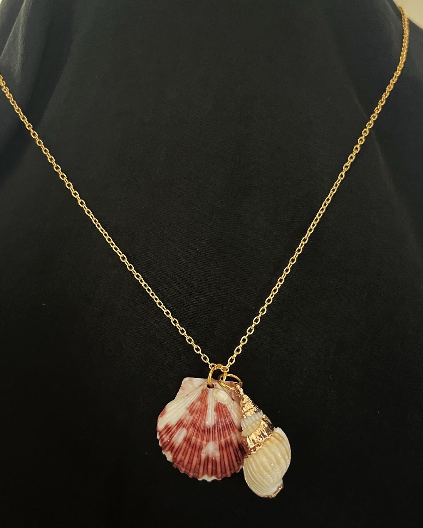 REAL SHELL Dainty Pendant Necklace! Wear the Beauty of the Natural ...