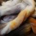 Hand Dyed Dorset Horn Wool Top for Spinning or Felting - 'owl’ - Etsy