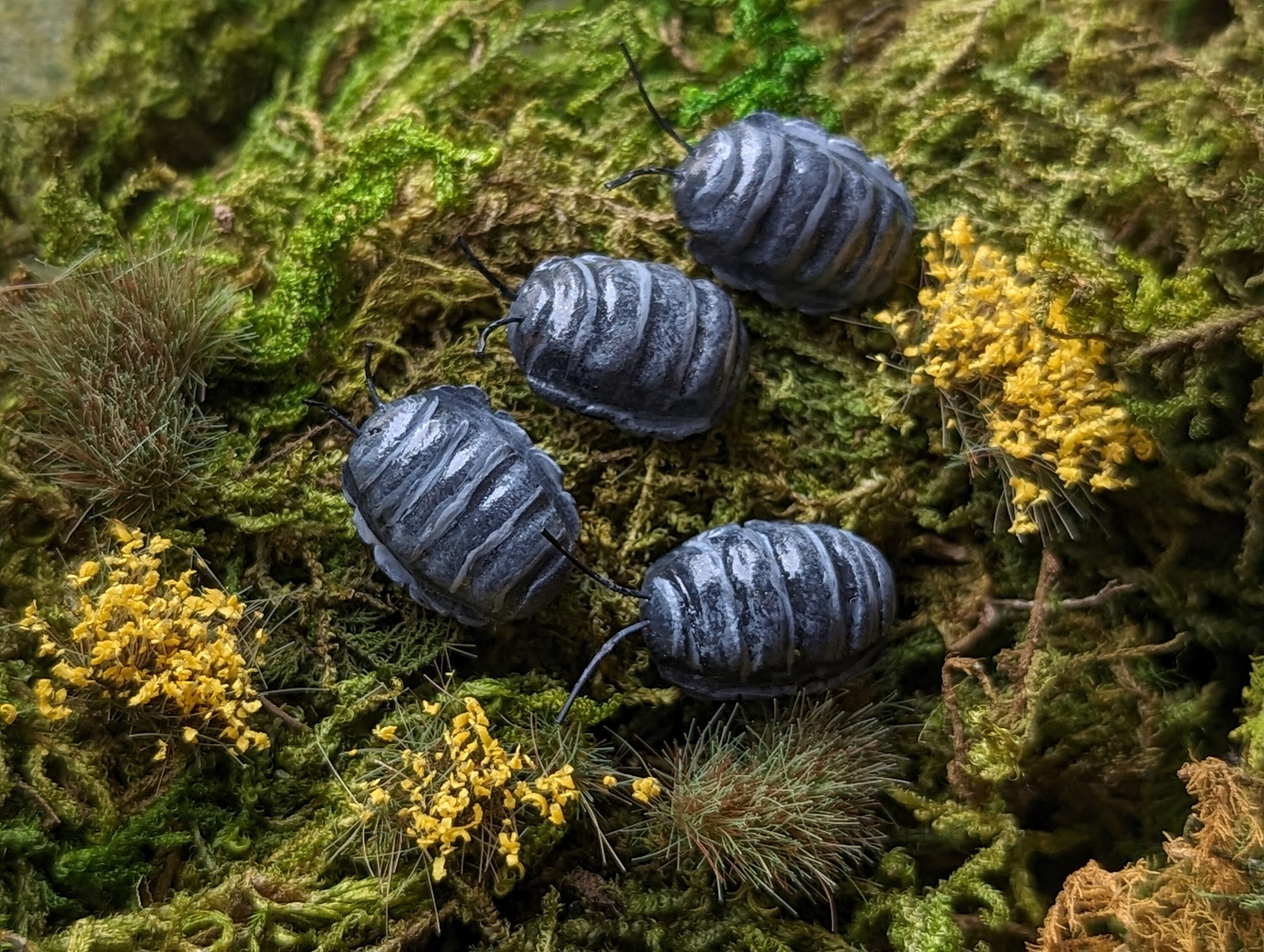 Roly-poly Earrings - Etsy