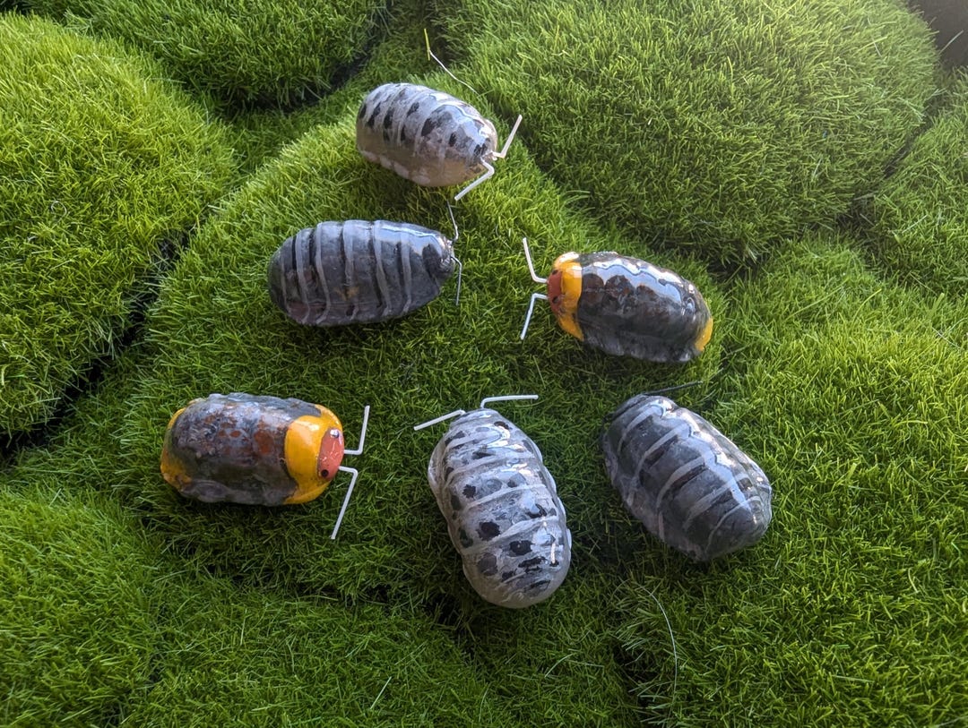 Roly-poly Pins , Rubby Ducky Isopods, Dairy Cow Pill-bugs, Goblincore ...