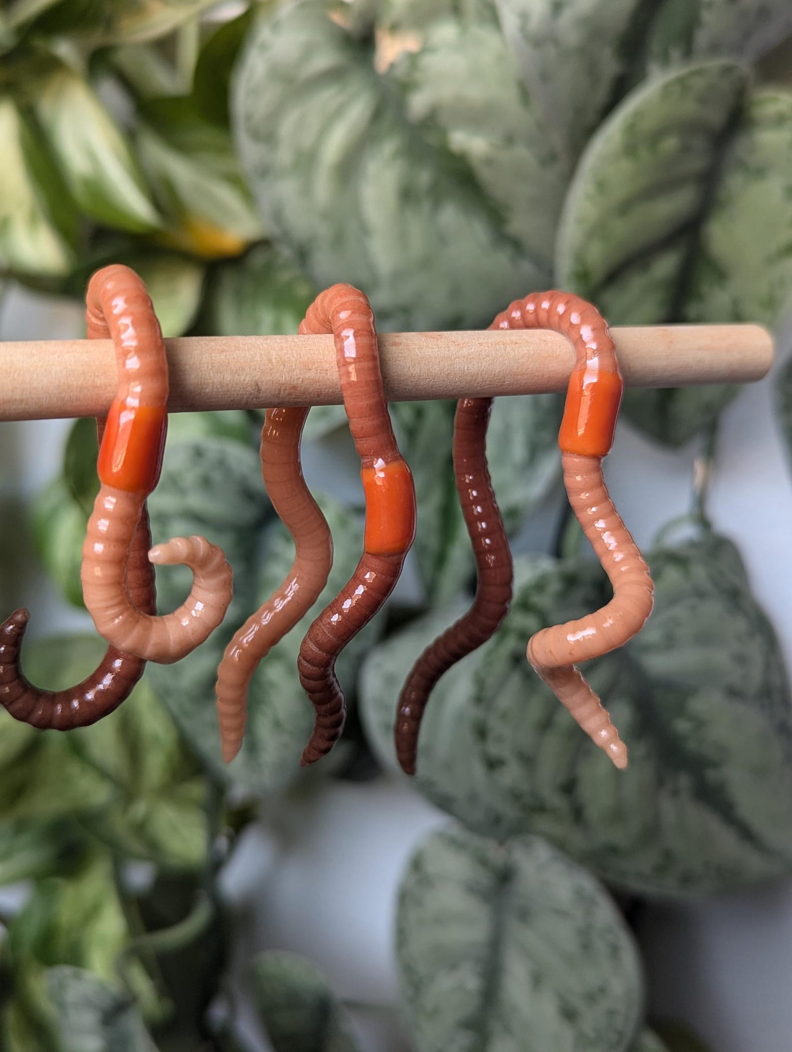 Earthworm Gauge Hangers, Gauge Weights , Goblin Core, Forest Core ...