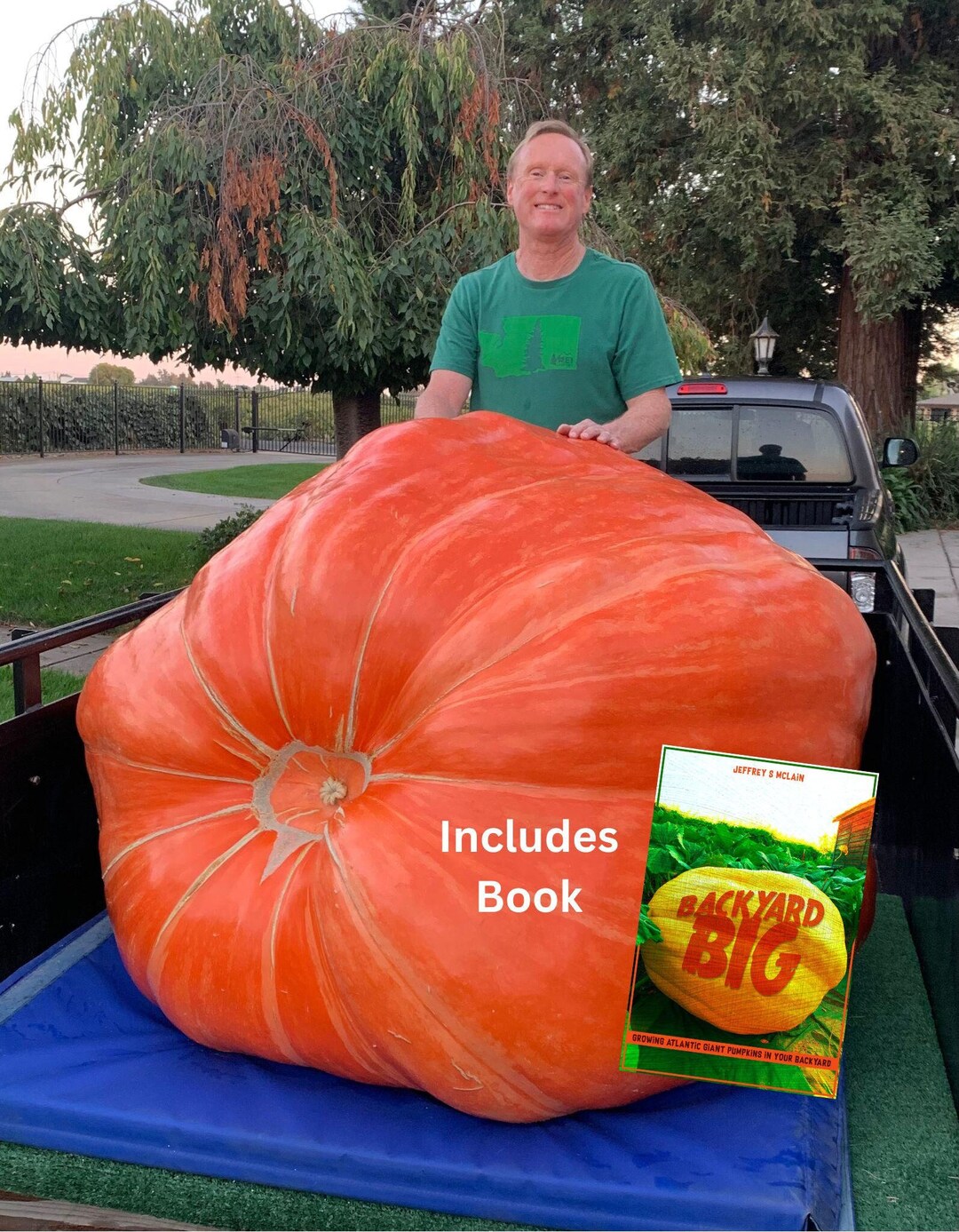 Atlantic Giant Pumpkin Seeds From a BRIGHT Orange 1,073-pound Giant ...