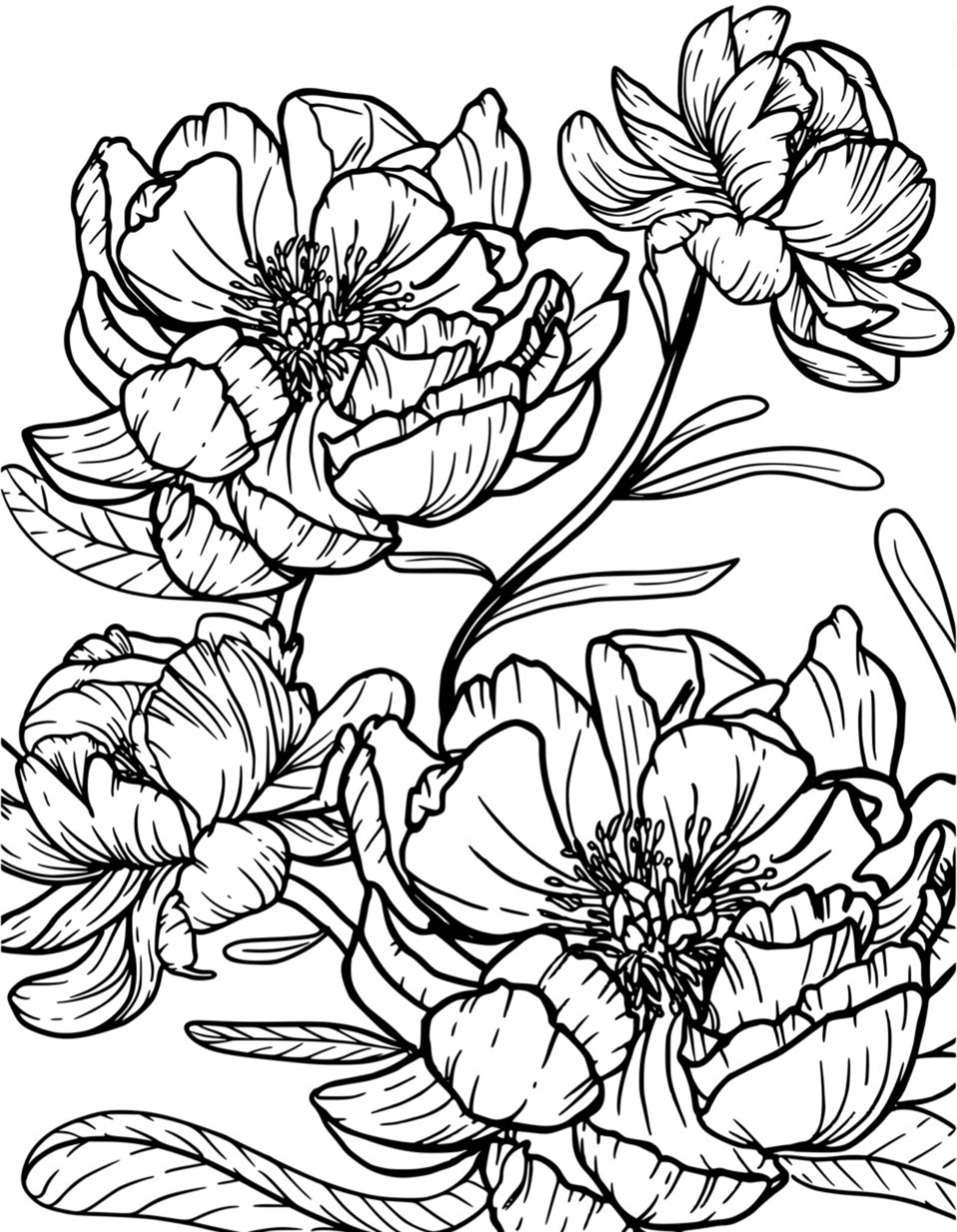 Positive Floral Coloring Pages for Adults Printable 20 Pages - Etsy