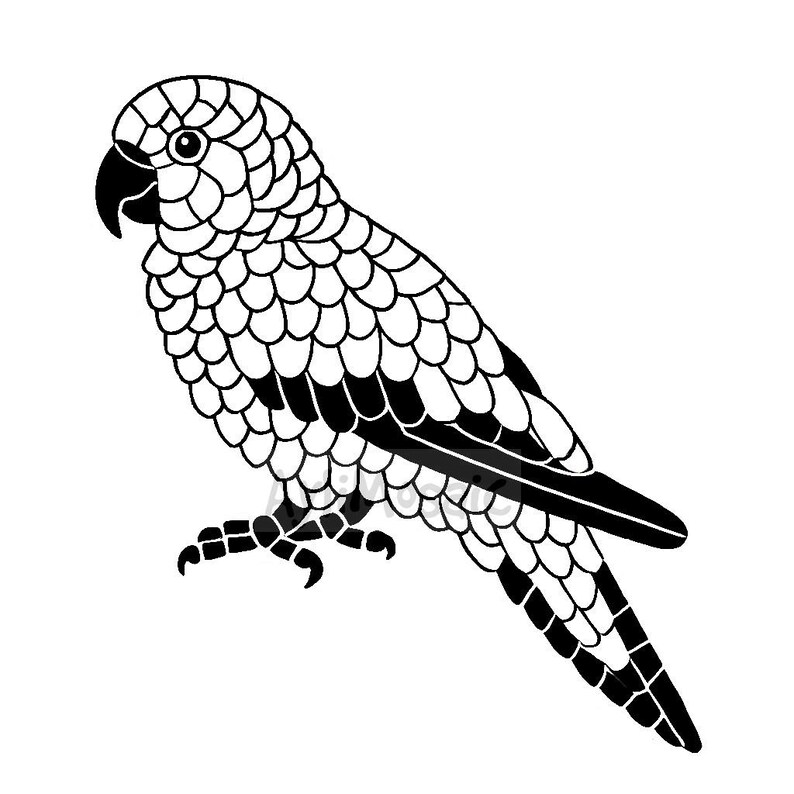 Pack of 5 Templates - Parrot Designs | Printable Templates | PDF ...