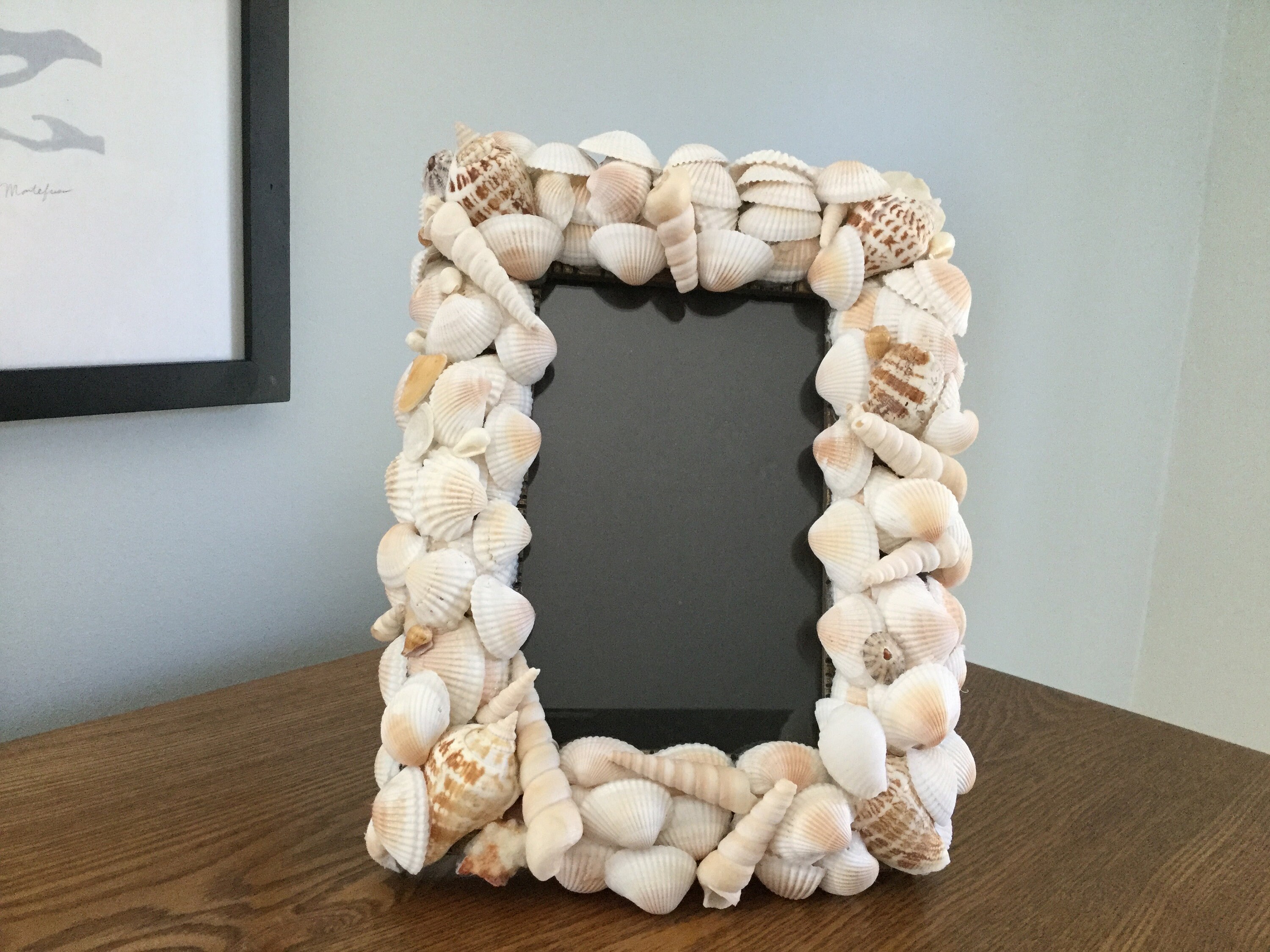Seashell Encrusted Picture Frame - Etsy