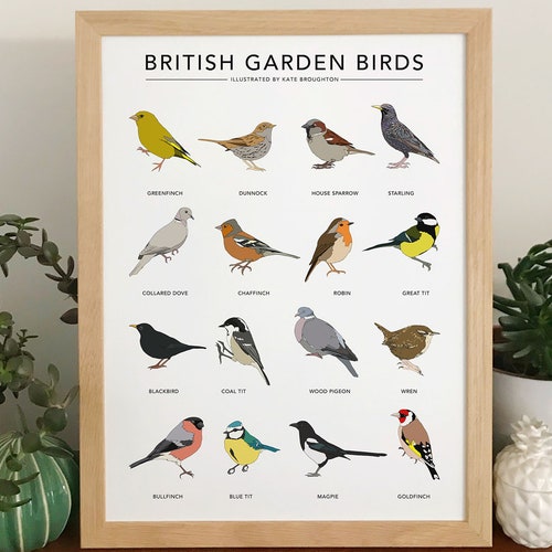 British Birds Print Watercolour Art Print British Nature | Etsy UK