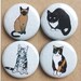 Cat Badges set of 4 Calico, Burmese, Silver Tabby, Black and White - Etsy