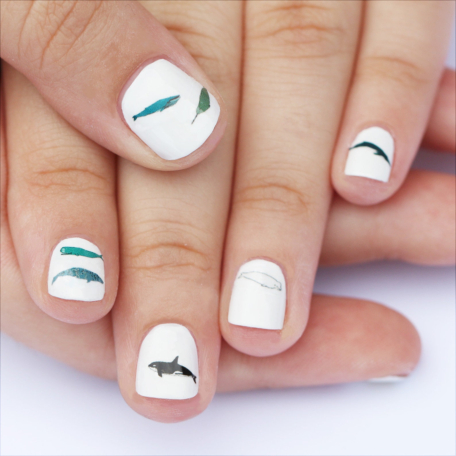 Whale Nail Transfers Illustrated Nail Art Decals Orca - Etsy