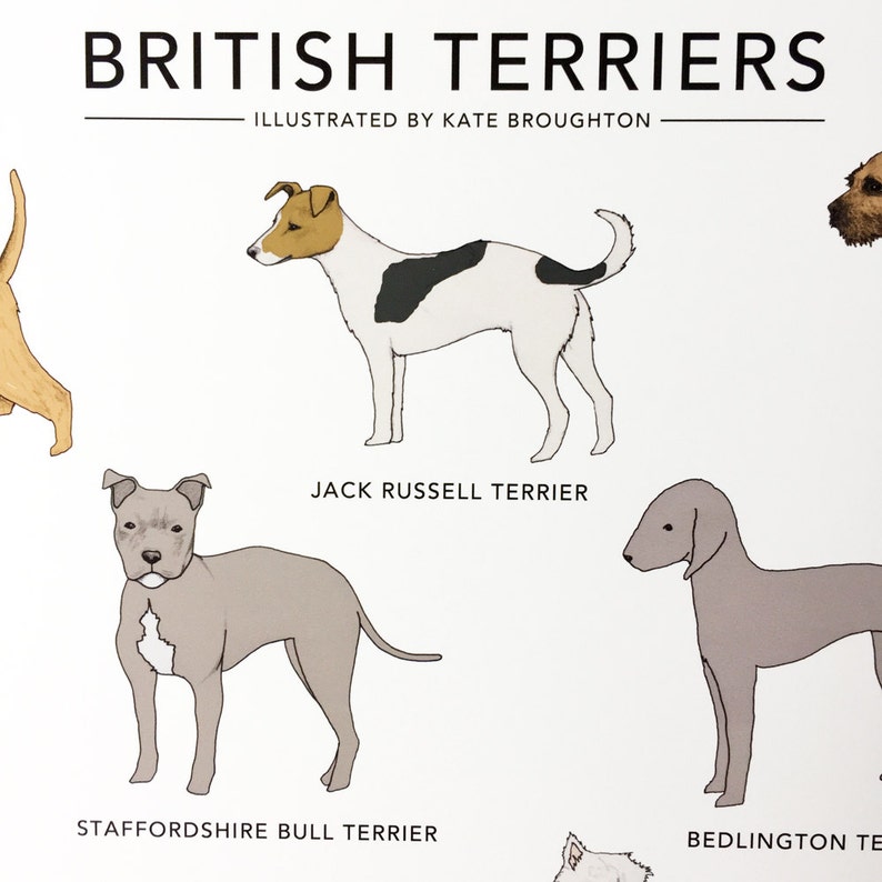 British Terriers print / dog wall art / dog decor dog breed | Etsy