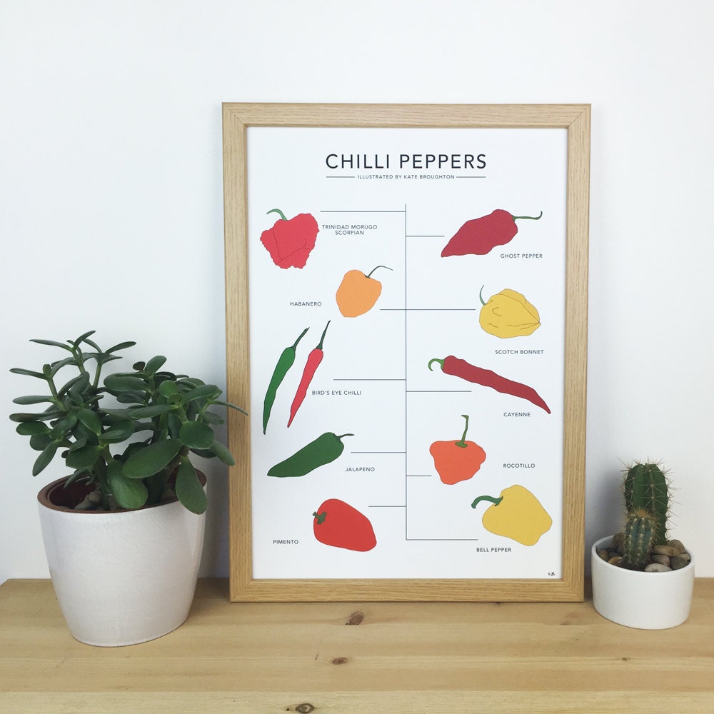 Chilli Peppers Print Illustrated Kitchen Wall Art | Etsy