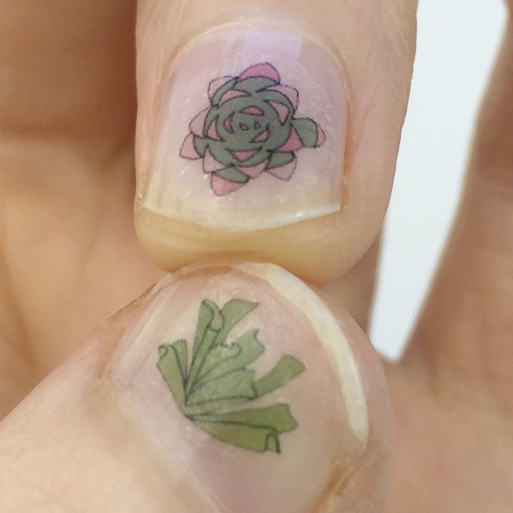 Succulent Plant Nail Transfers Plant Nail Art Handmade | Etsy UK