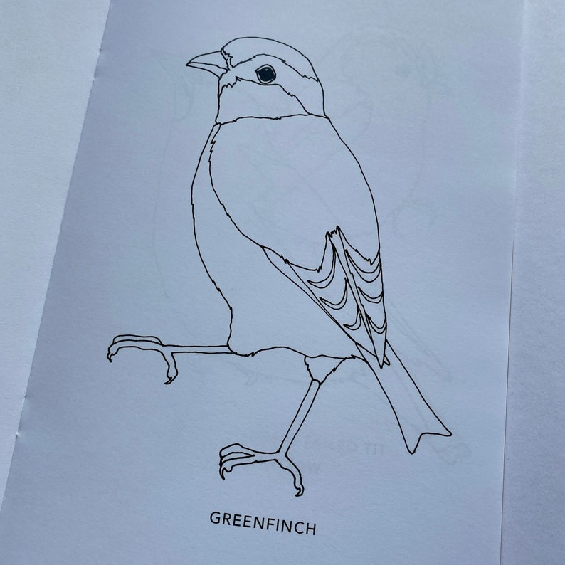 Colouring Book of British Birds 100% Recycled | Etsy