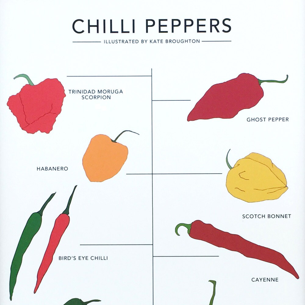 Chilli Peppers Print Illustrated Kitchen Wall Art | Etsy
